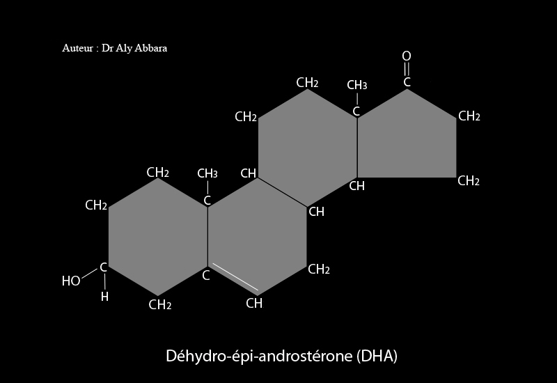 Déhydro-épiandrostérone, un androgène actif : structure chimique détaillée